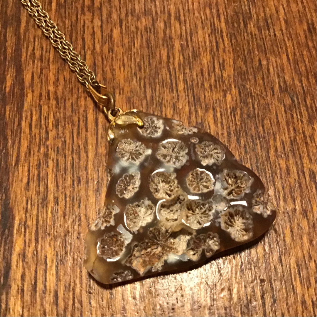 Coral Fossil Pendant and Chain - Etsy
