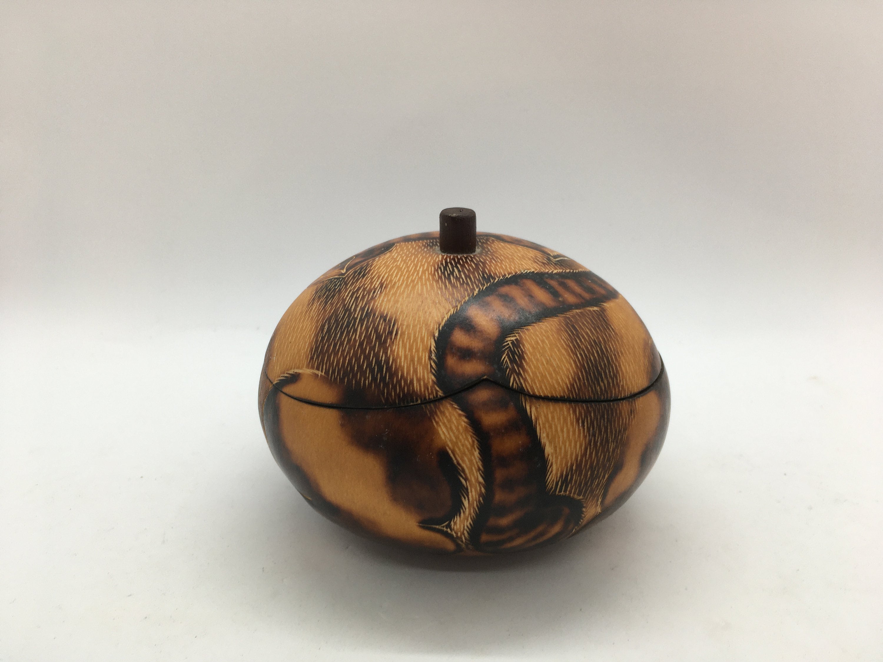 Vintage Hand Painted Cat Gourd Art | Etsy