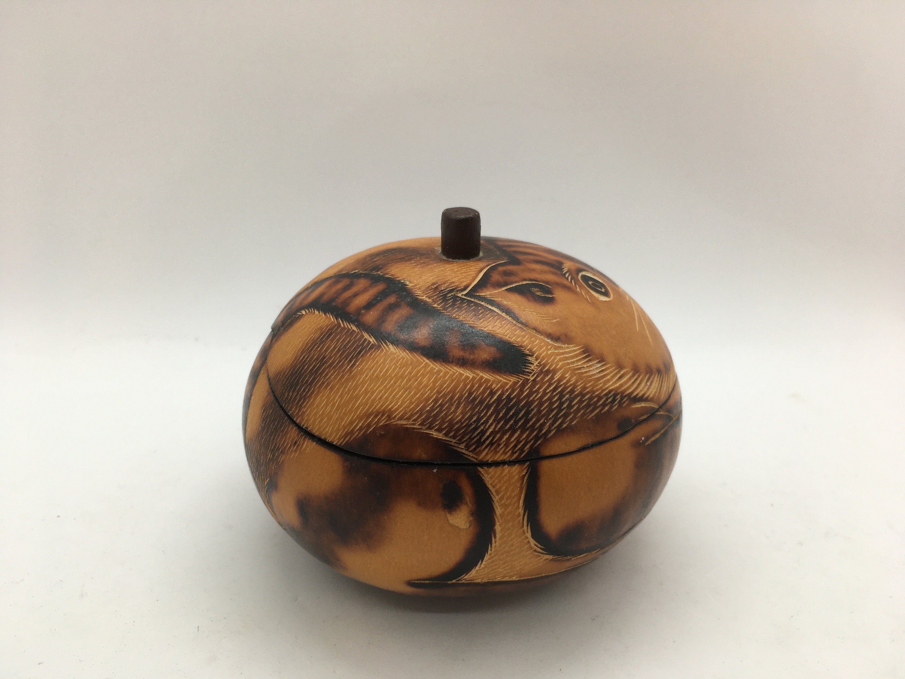 Vintage Hand Painted Cat Gourd Art | Etsy