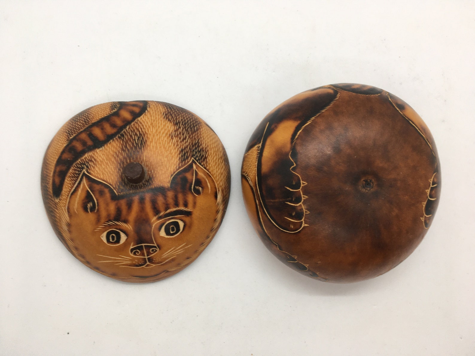 Vintage Hand Painted Cat Gourd Art - Etsy