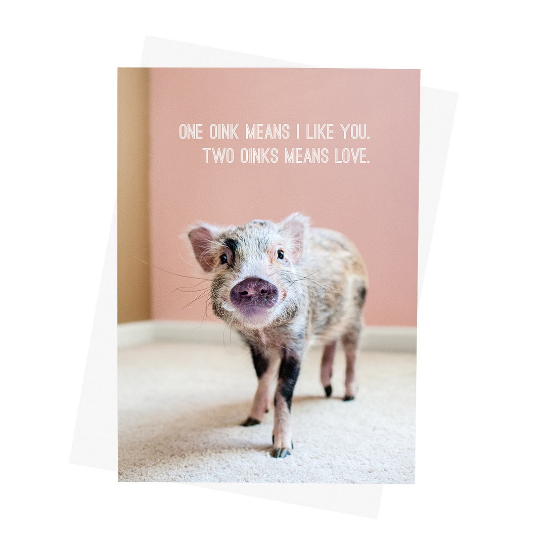 One Oink Means I Like You. Two Oinks Means Love. Cute Pig Anniversary ...