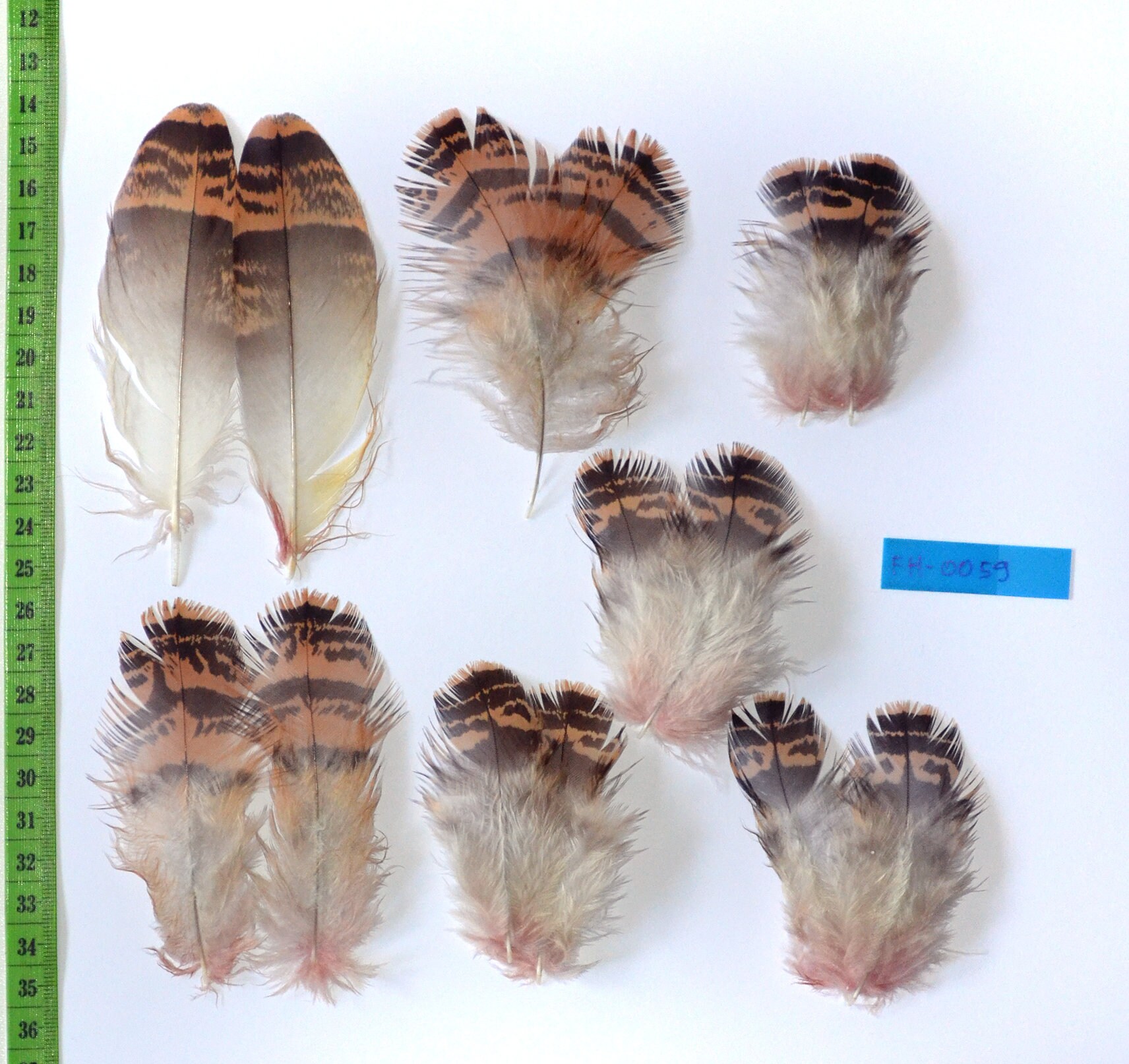 14 Pcs, 7 Matched Pair Bustard Feathers - Etsy UK
