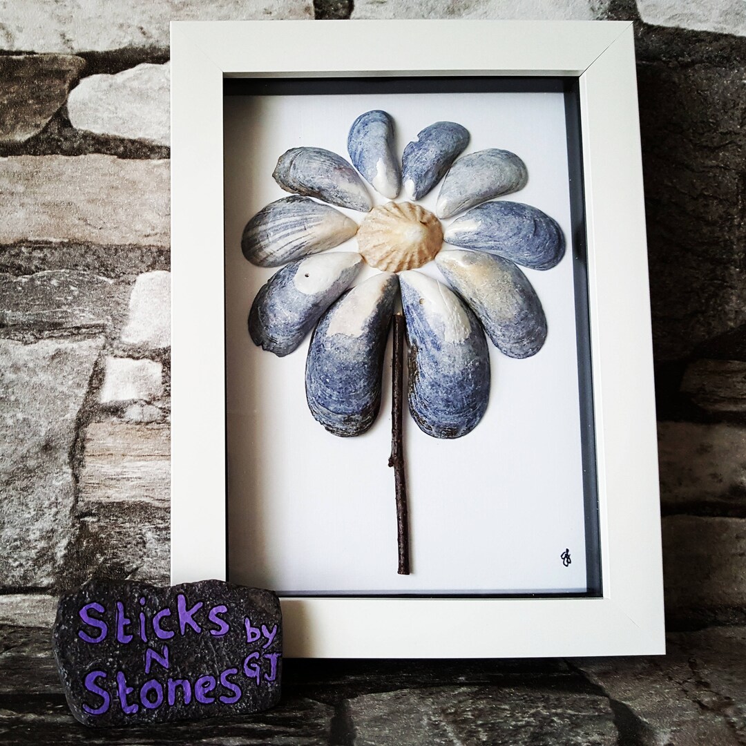 Pebble Art Mussel Beach Shell 'flower' - 7x5 Black or White Box Frame ...