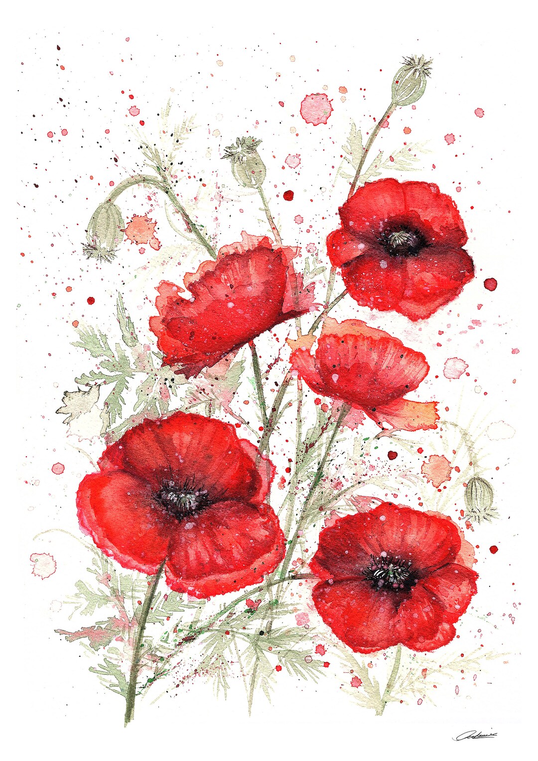 Red Poppy Watercolour Print. Poppy Wall Art. Poppy Art. Poppy Wall ...
