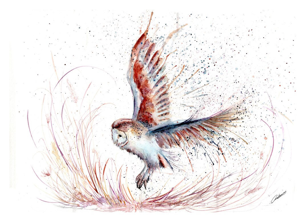 Barn Owl Watercolour Print: Swooping Bird Art - Etsy