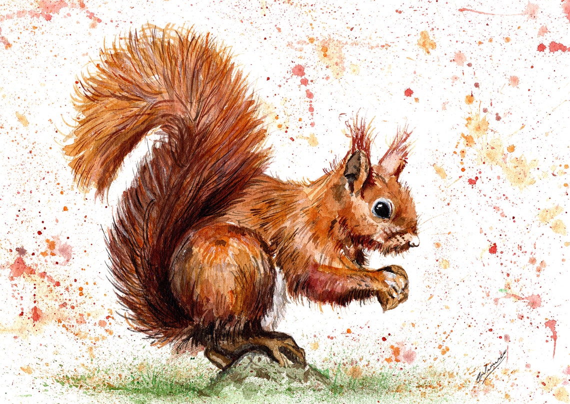 Red Squirrel Print. Red Squirrel Watercolour. Red Squirrel | Etsy UK