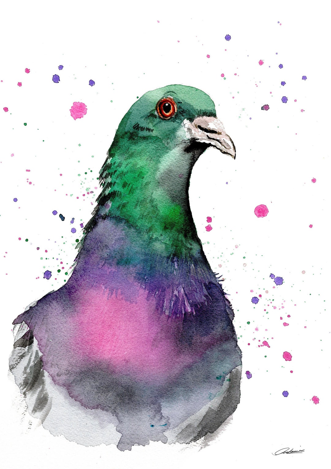 Pigeon Print. Pigeon Art.pigeon Wall Decor. Pigeon Gift. Pigeon ...