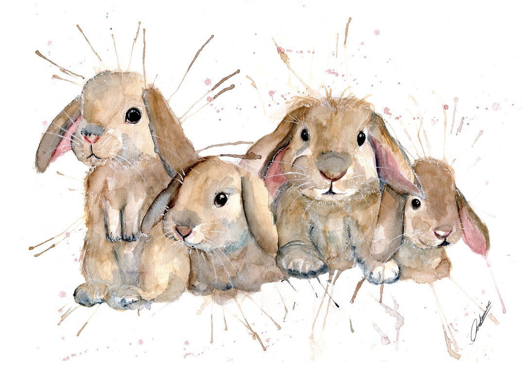 Rabbit Watercolour Print. Rabbit Blank Card. Rabbit Print. Bunny Wall ...