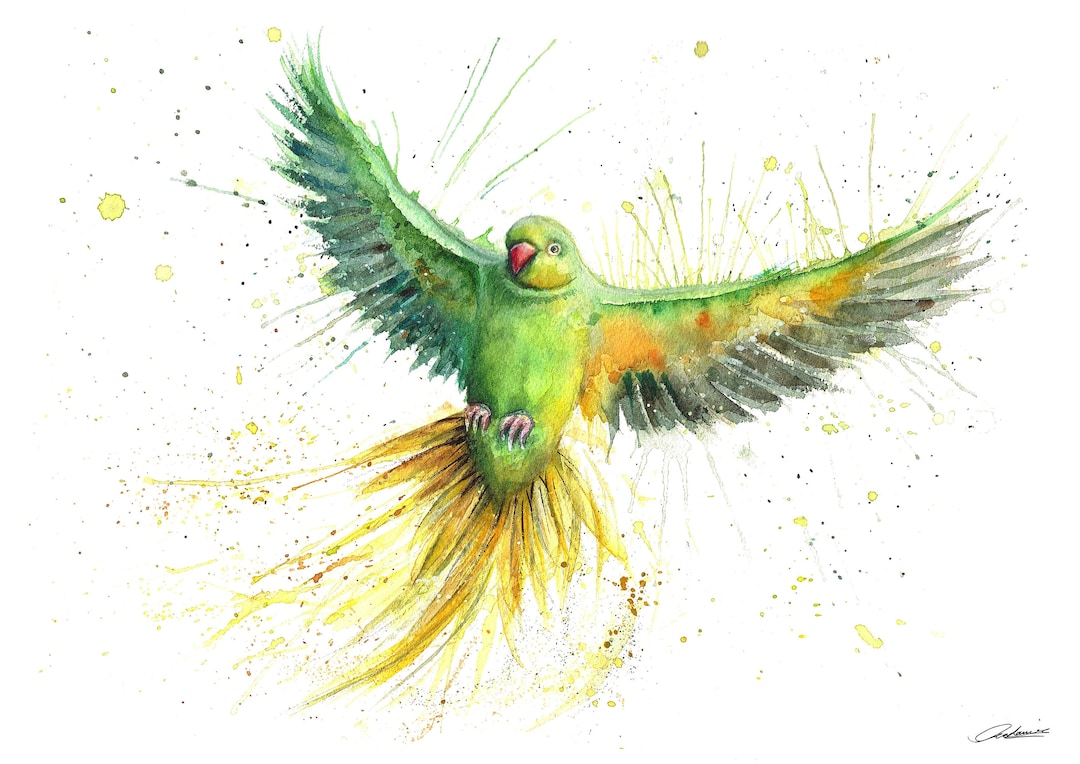 Green Parakeet Watercolour Print. Parakeet Greeting Card. Parakeet Wall ...