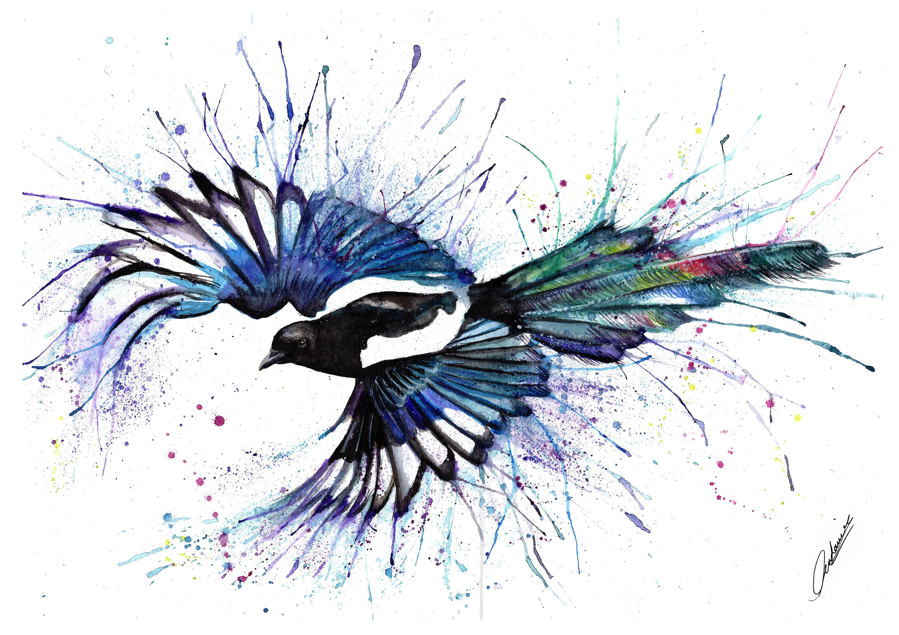 Magpie bird print. Magpie greeting card. Magpie art. Magpie | Etsy