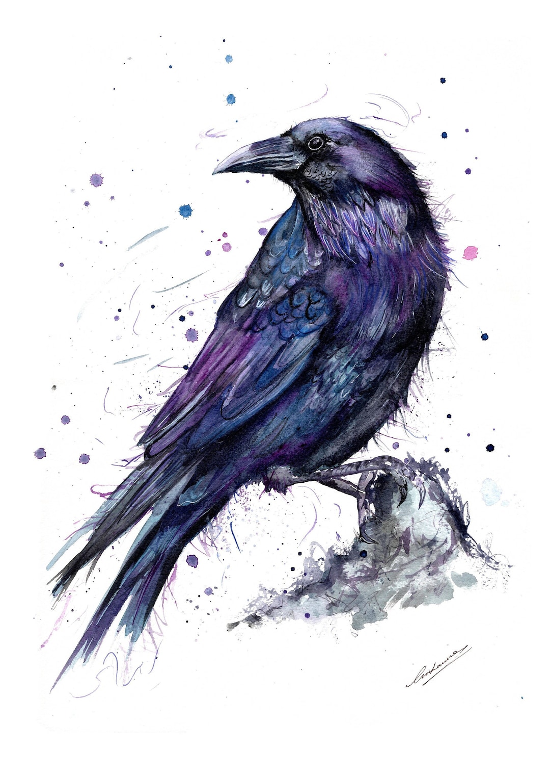 Colorful Raven Watercolour Print: Bird Wall Decor - Etsy