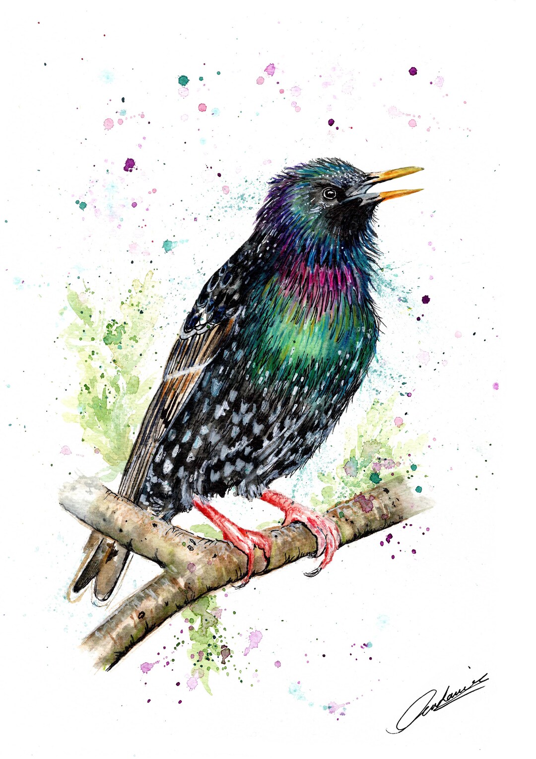 Starling Print. Starling Greeting Card. Starling Art. Starling Wall ...