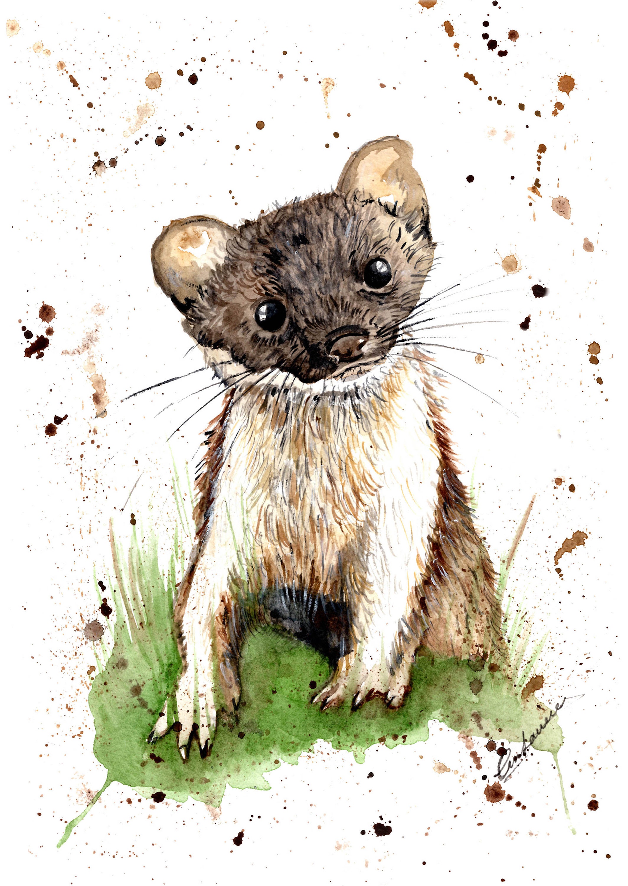 Stoat Print. Stoat Greeting Card. Stoat Splatter Art. Stoat Wall Decor ...