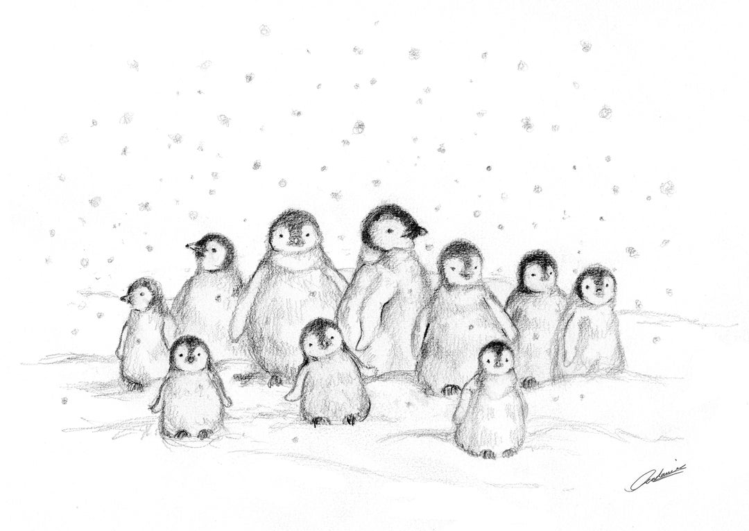 Baby Penguin Sketch. Baby Penguin Sketch Greeting Card. - Etsy