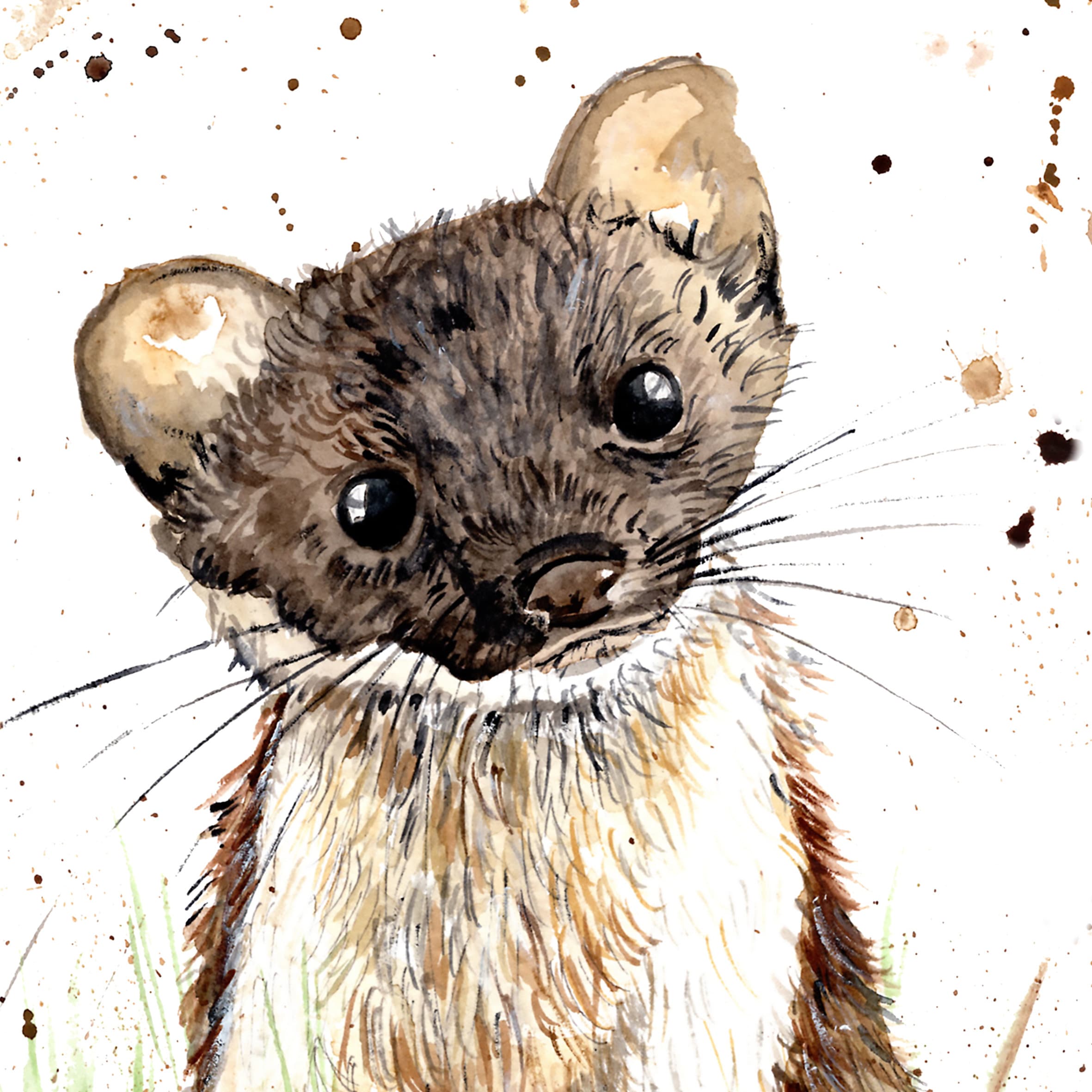 Stoat Print. Stoat greeting card. Stoat splatter art. Stoat | Etsy