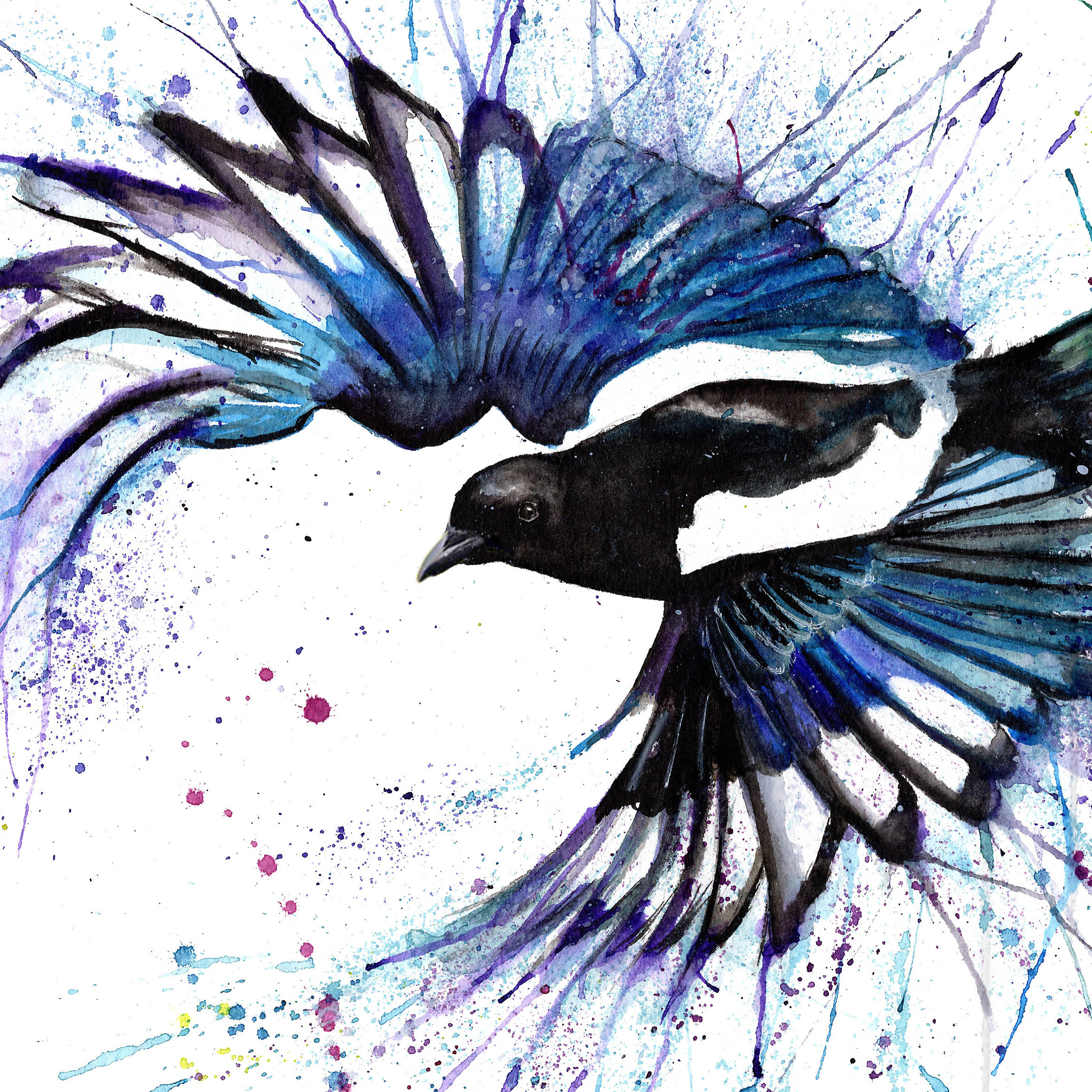 Magpie bird print. Magpie greeting card. Magpie art. Magpie | Etsy