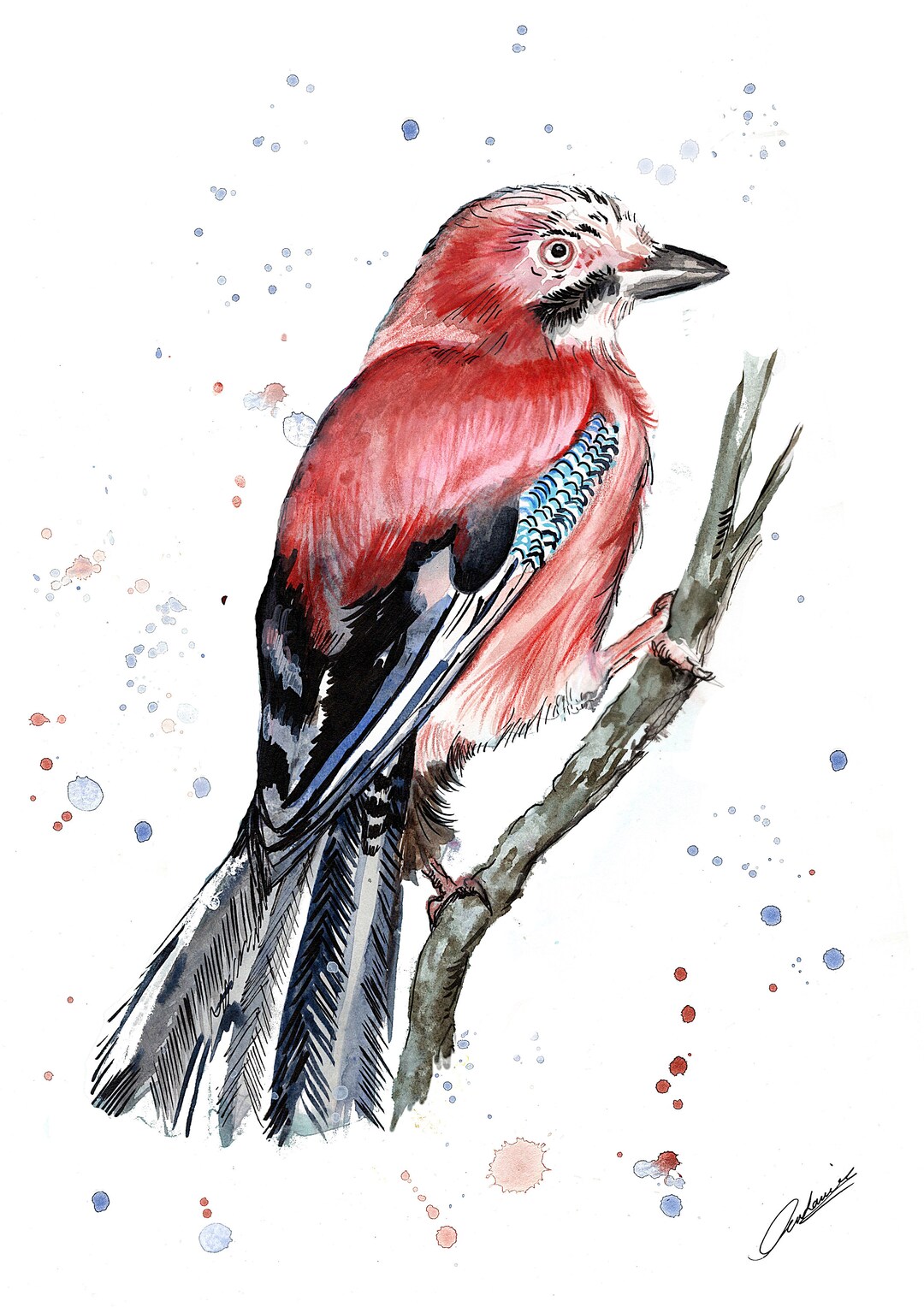 Jay Bird Watercolour Print. Jay Greeting Card. Jay Art. Jay Wall Decor ...