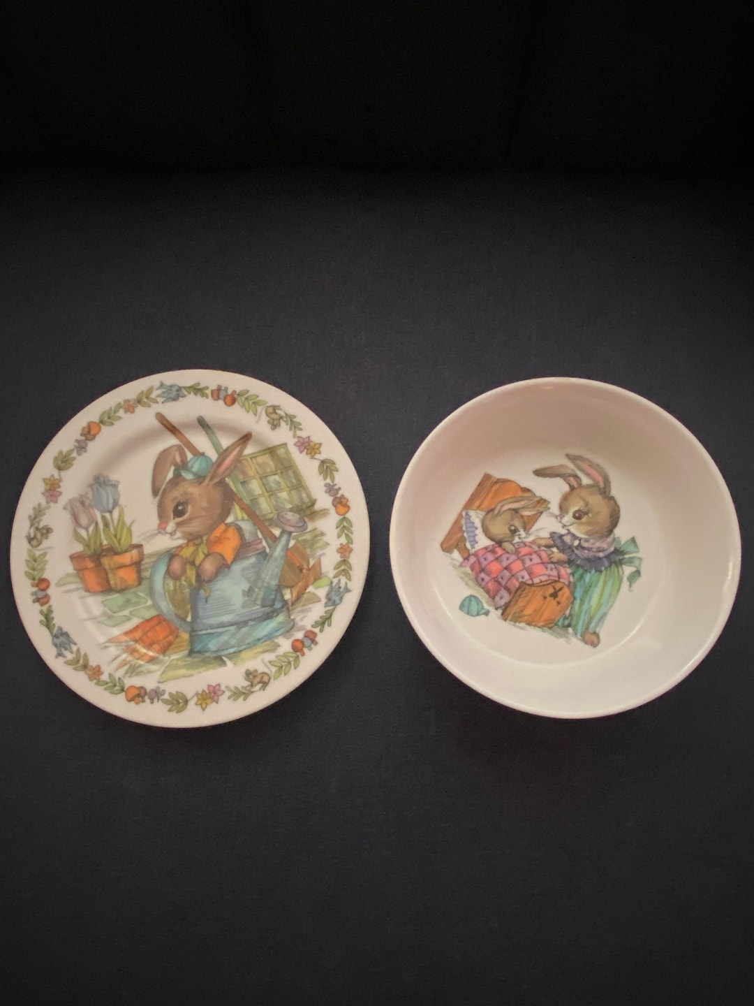 Vintage Peter Rabbit Plate and Bowl From Oneida - Etsy