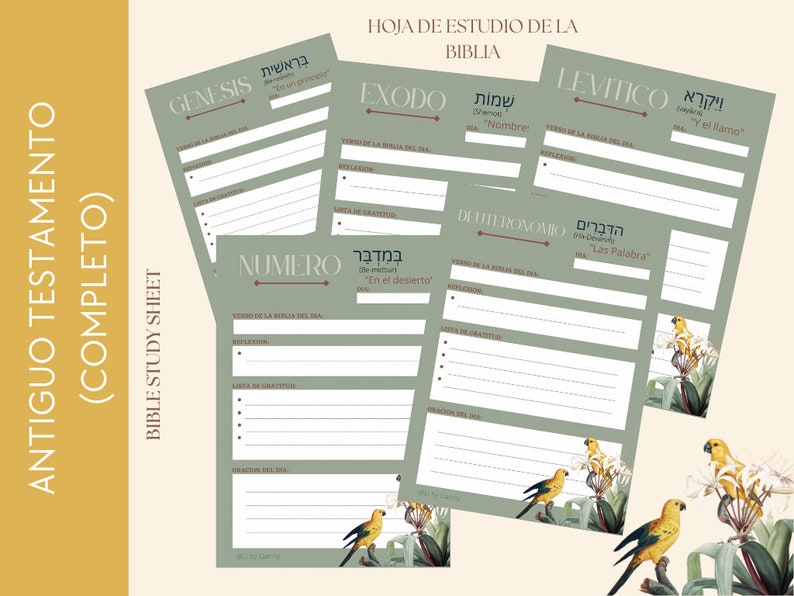 39 Digital Bible Study Sheets Antiguo Testamento Estudio De La Biblia ...