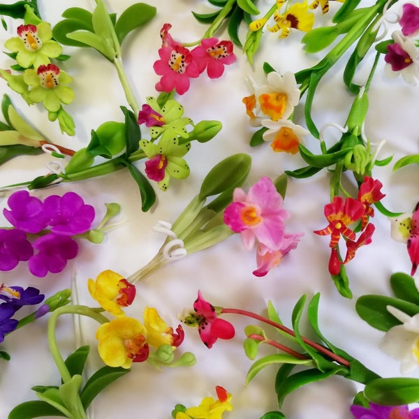 Miniature Orchid - Etsy