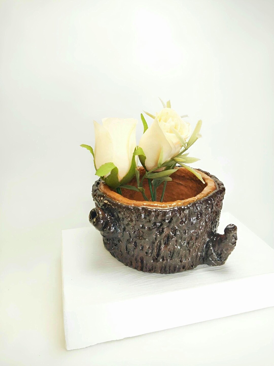 Handmade Bark Pot for Succulents & Bonsai – Resin-coated Eco Planter ...