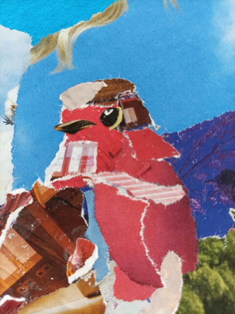 Robin Collage Art, Small Artwork for My Office, Funny Bird Pictures ...