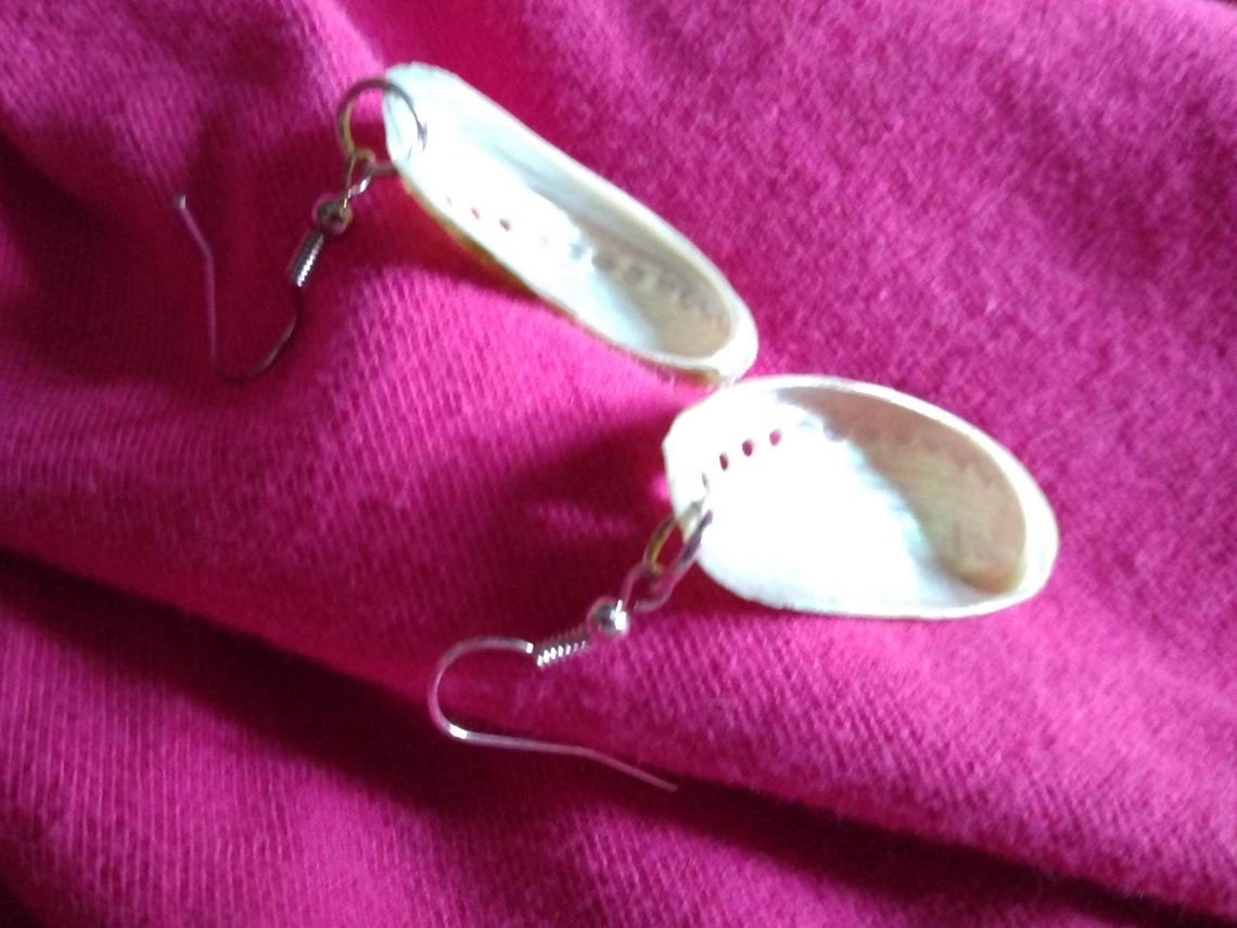 Iridescent Shells, Simple Elegance! - Etsy