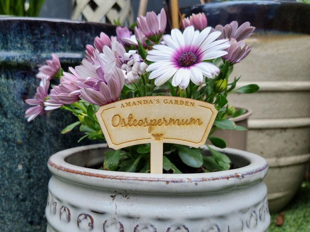 Wooden Plant Label, Personalised Garden Plant Stake, Custom Plant ...