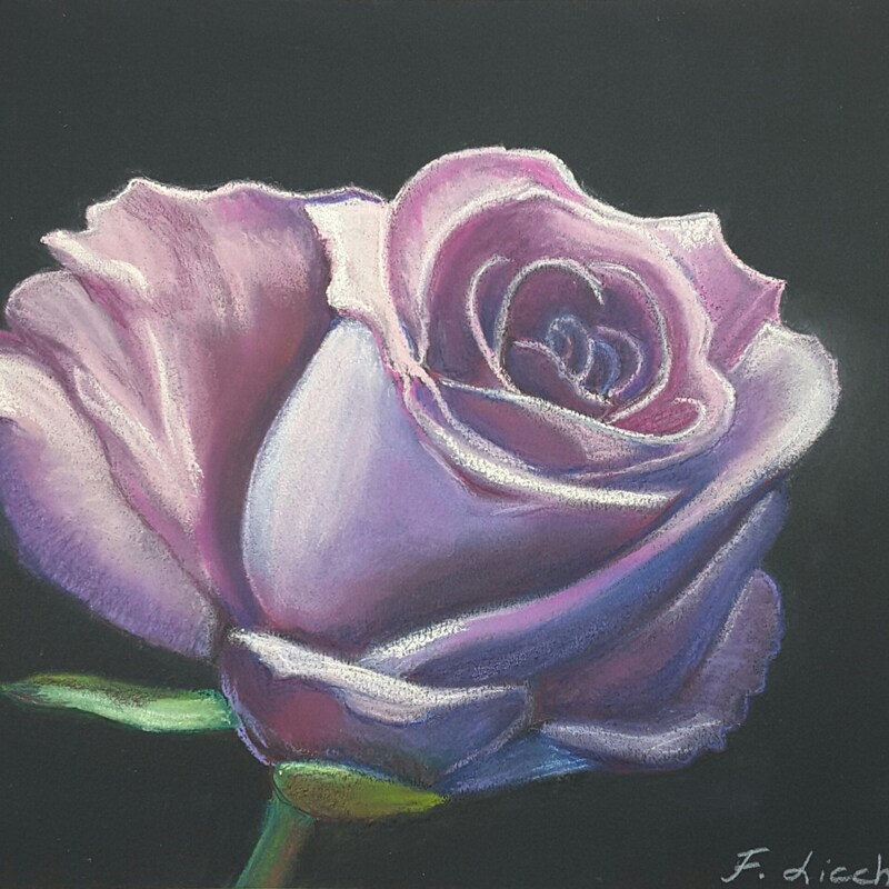 Rose Pencil Drawing - Etsy
