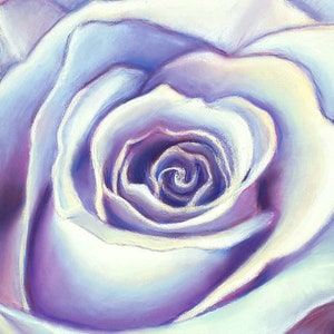 Purple Rose Pastel Drawing, Rose Original Art, Soft Pastel on Pastelmat ...