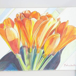 Orange Clivia Original Drawing, Colored Pencils on Paper Botanical ...