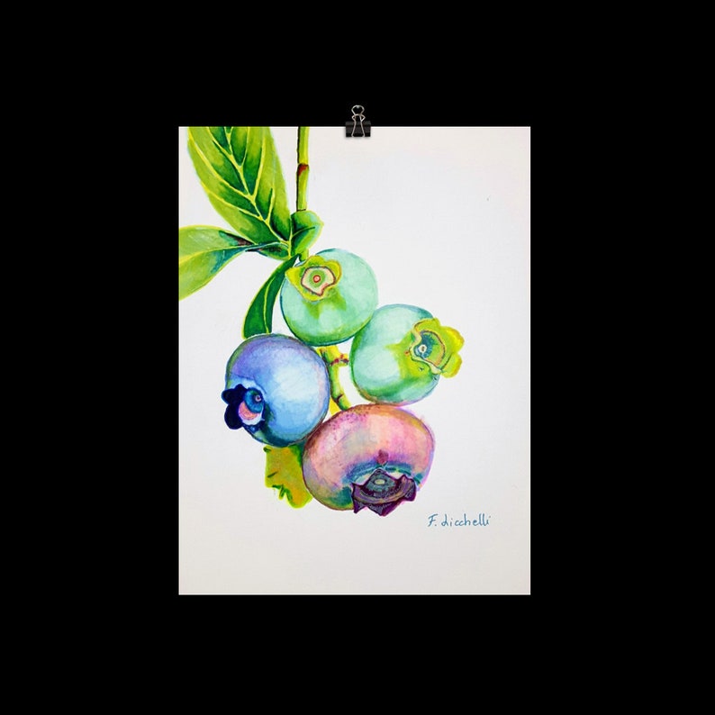 Berries Poster Colored Blueberry Print Branch of Berries - Etsy