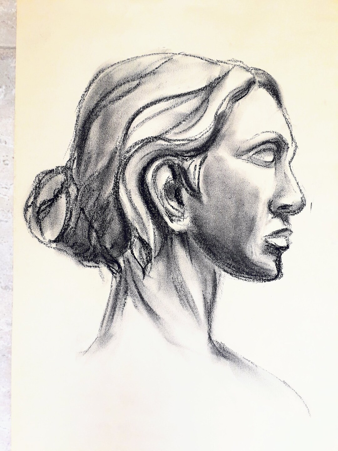 Charcoal Drawing Bust on Toned Paper Life Drawing Sketch Original ...