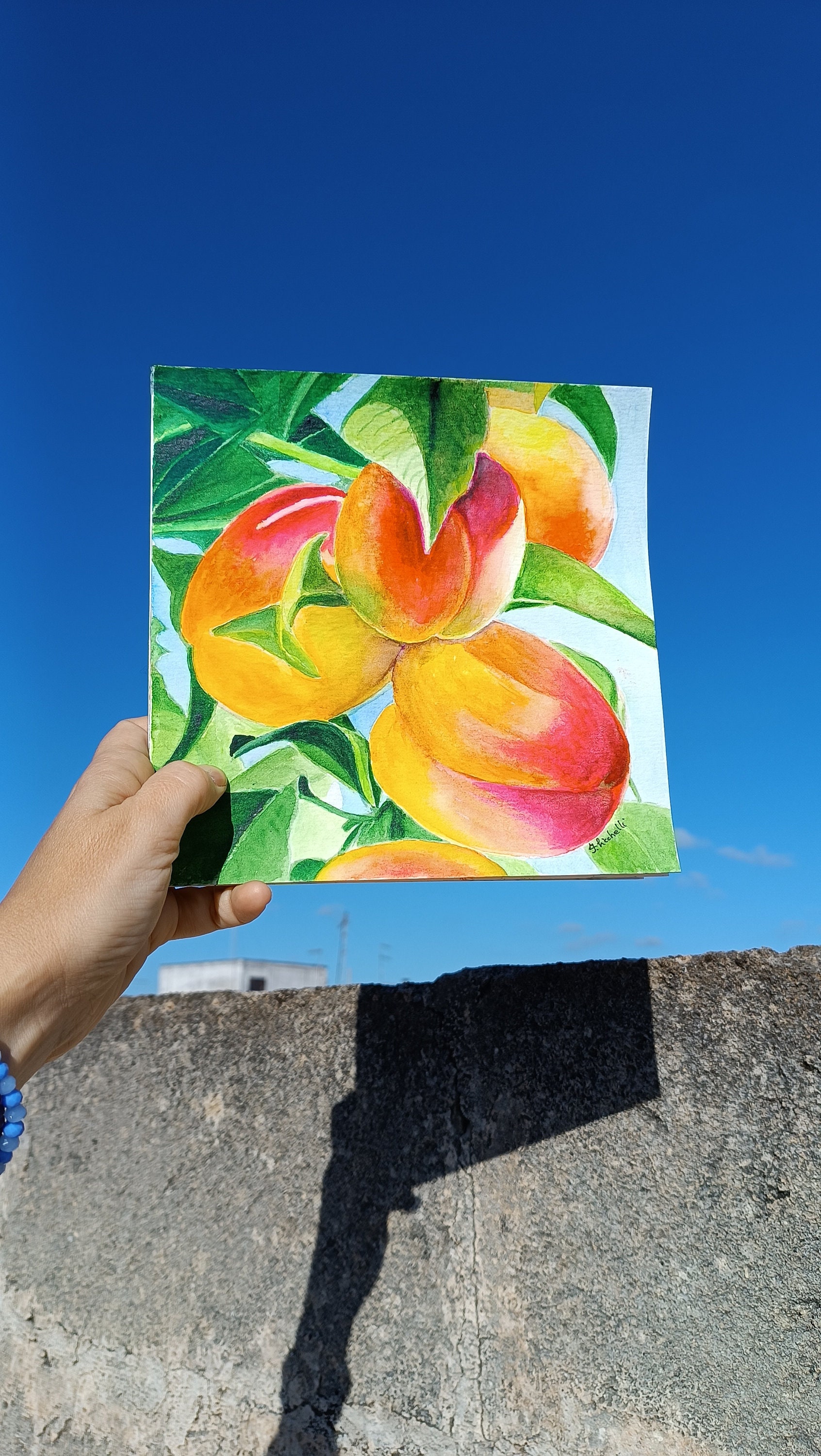 Peach Watercolor Peach Tree Painting Square Peach and Leaves Watercolor ...