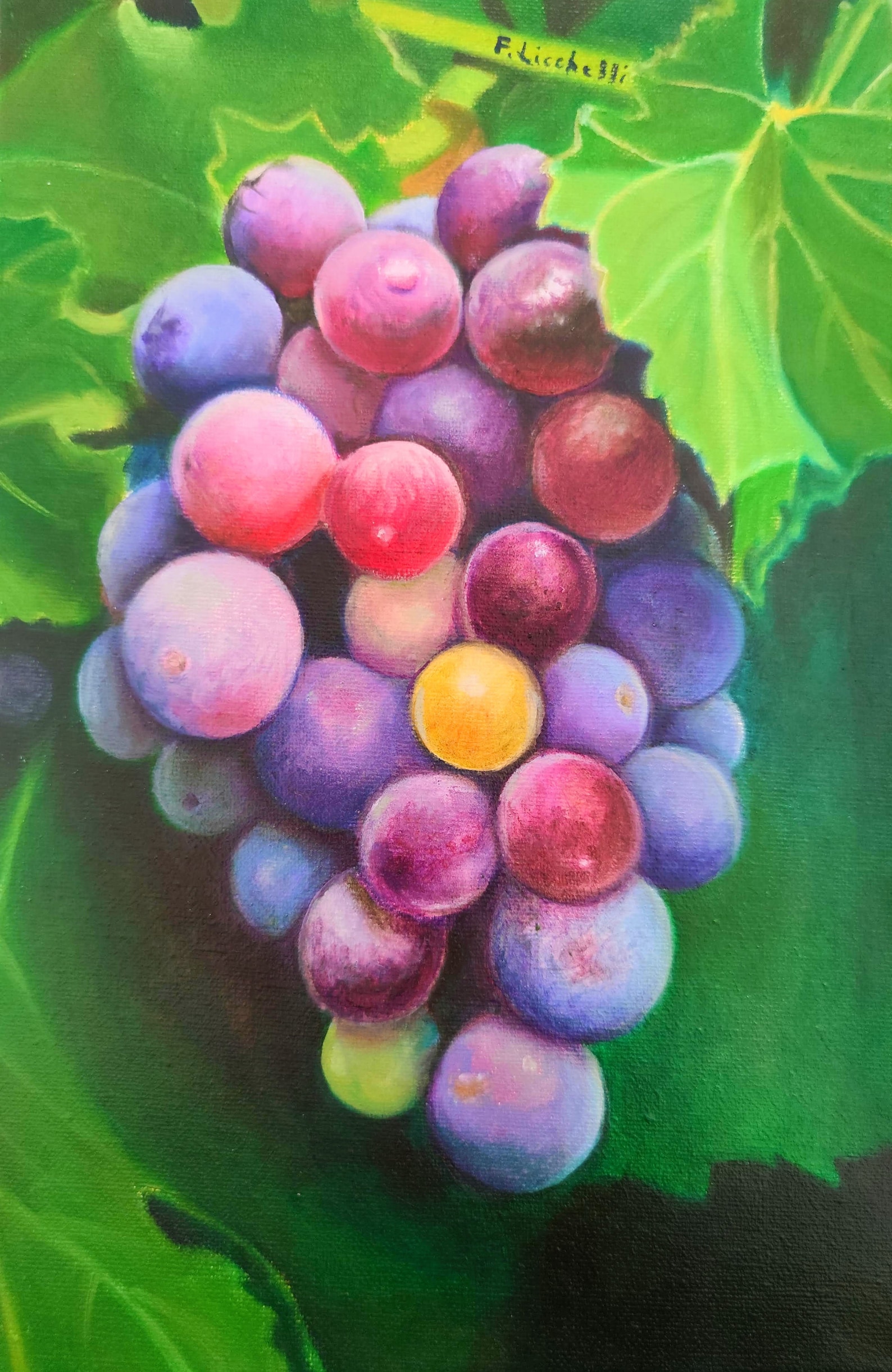 Rainbow Grapes Original Paitning Oil on Canvas Fruit Wall Art Kitchen ...