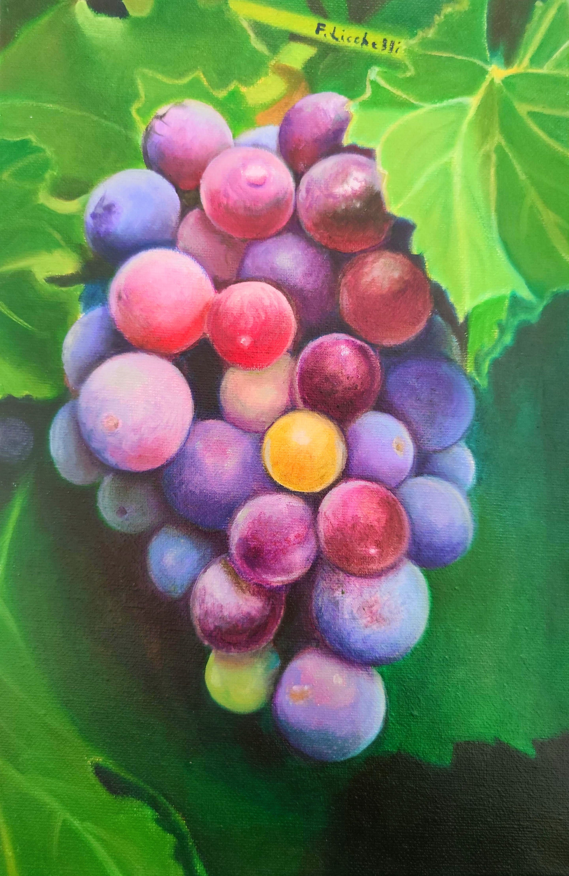Rainbow Grapes Original Paitning Oil on Canvas Fruit Wall Art Kitchen ...