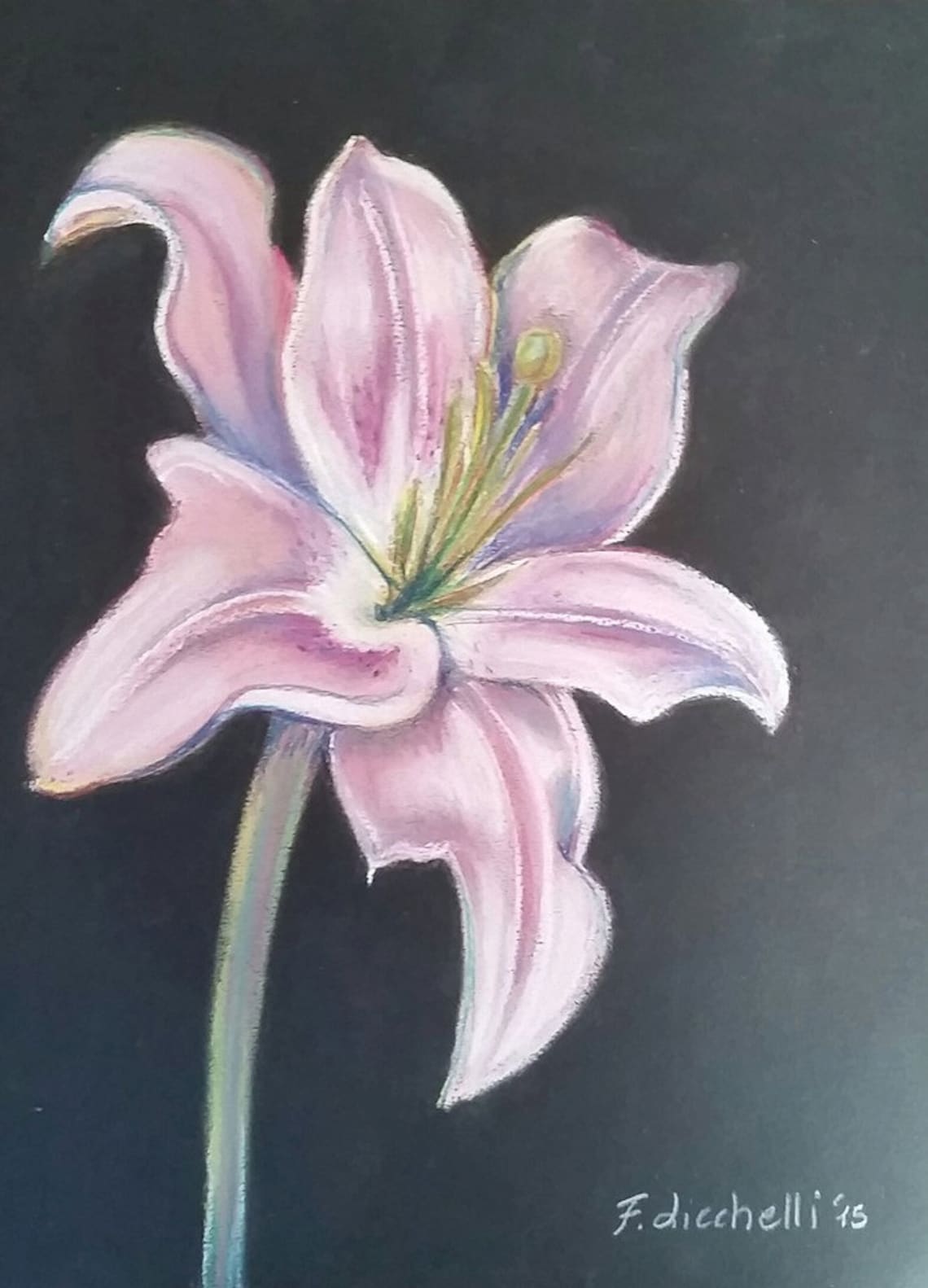 Pink Lily Drawing, Flower on Black Background Painting, White Lily ...