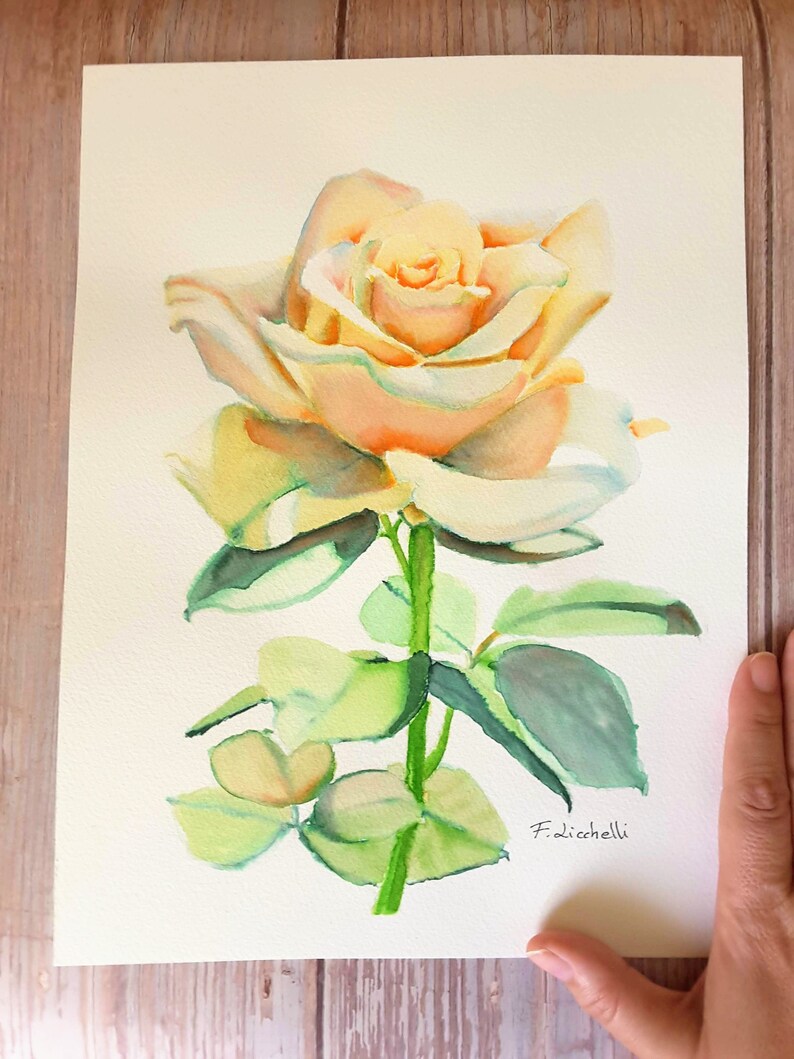 Peach Pink Rose Watercolor Original, Floral Watercolor Rose Pink, Rose ...