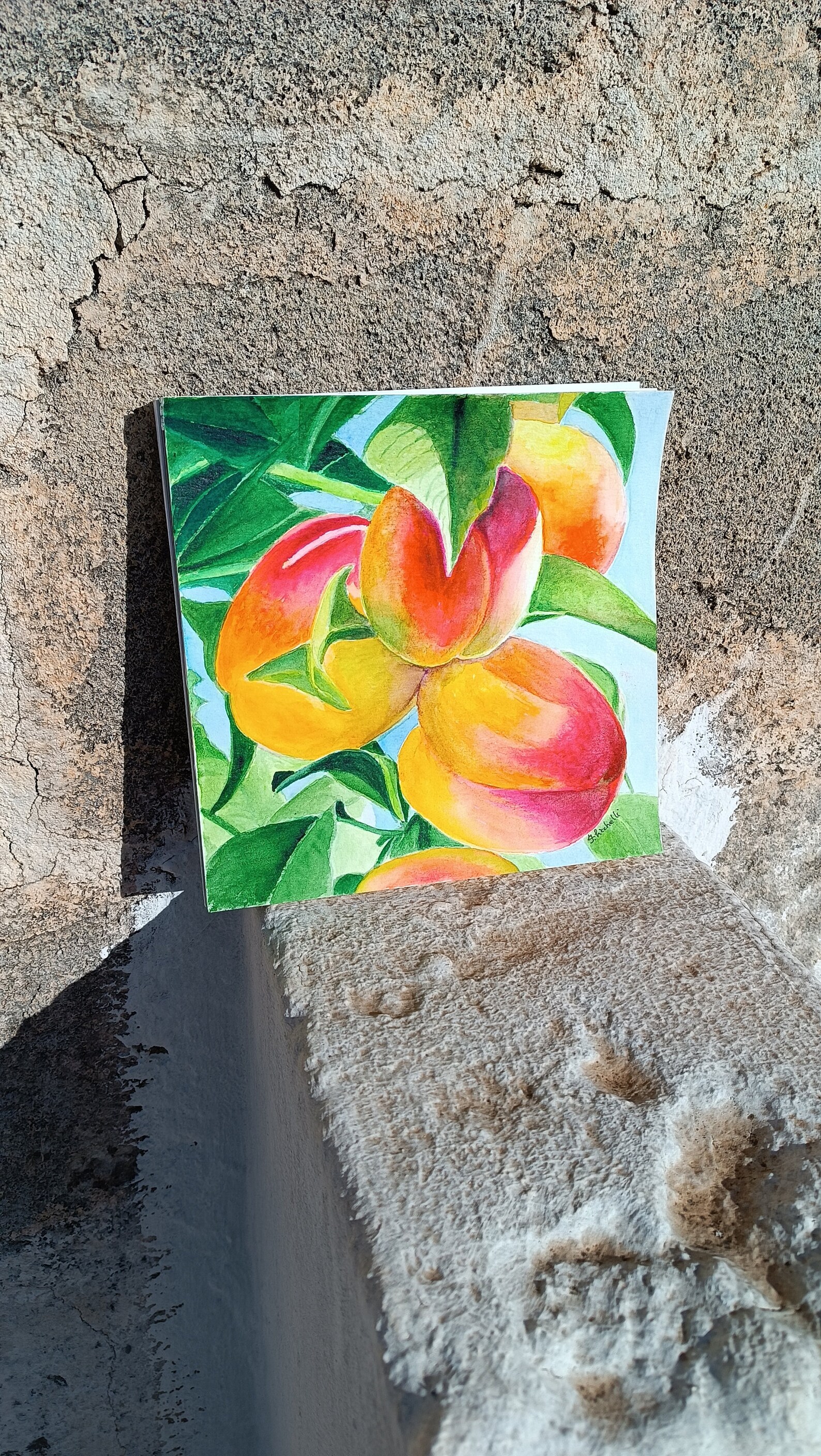 Peach Watercolor Peach Tree Painting Square Peach and Leaves Watercolor ...