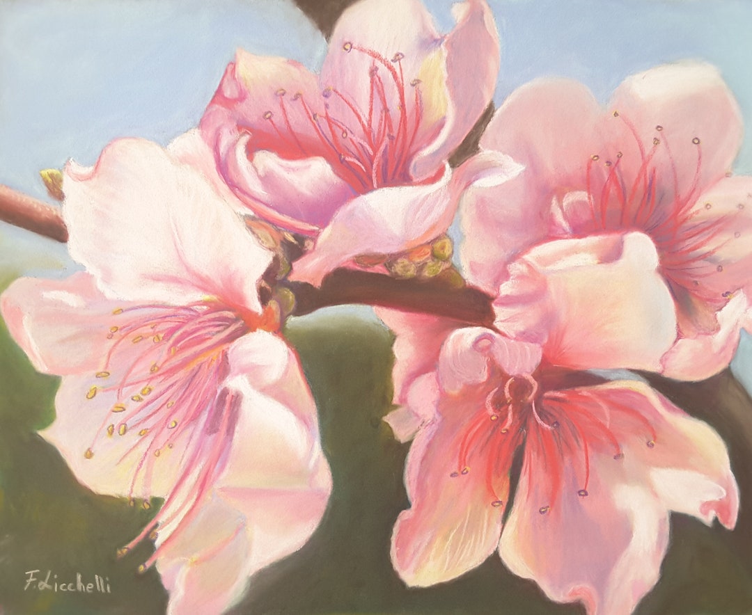 Cherry Blossoms Painting Soft Pastels on Paper, Floral Pastel Painting ...