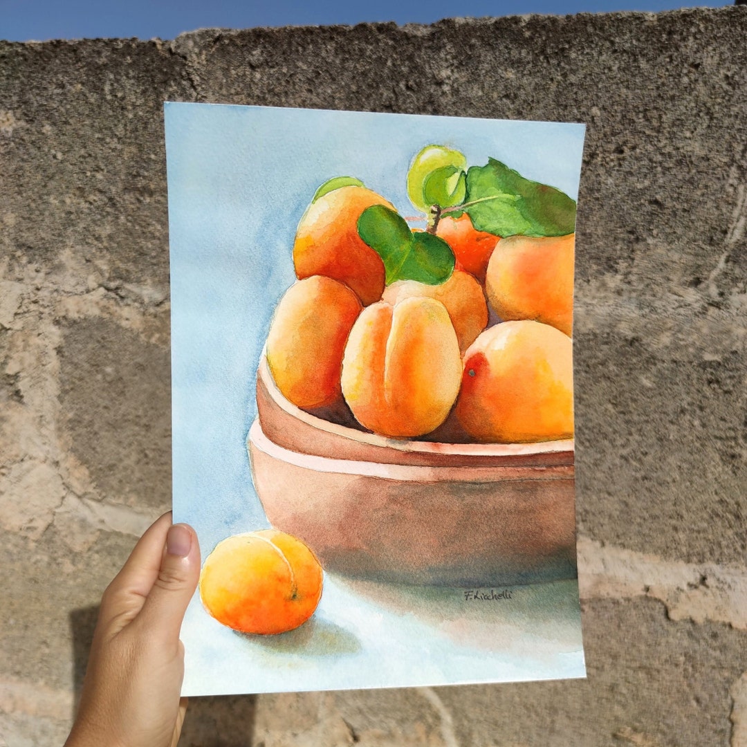 Apricot Watercolor Original Painting for Kitchen Apricot Still Life ...