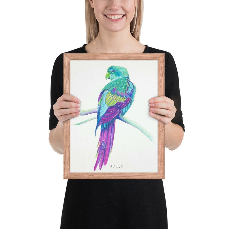 Parrot Original Watercolor Framed Poster Tropical Parrot Print - Etsy