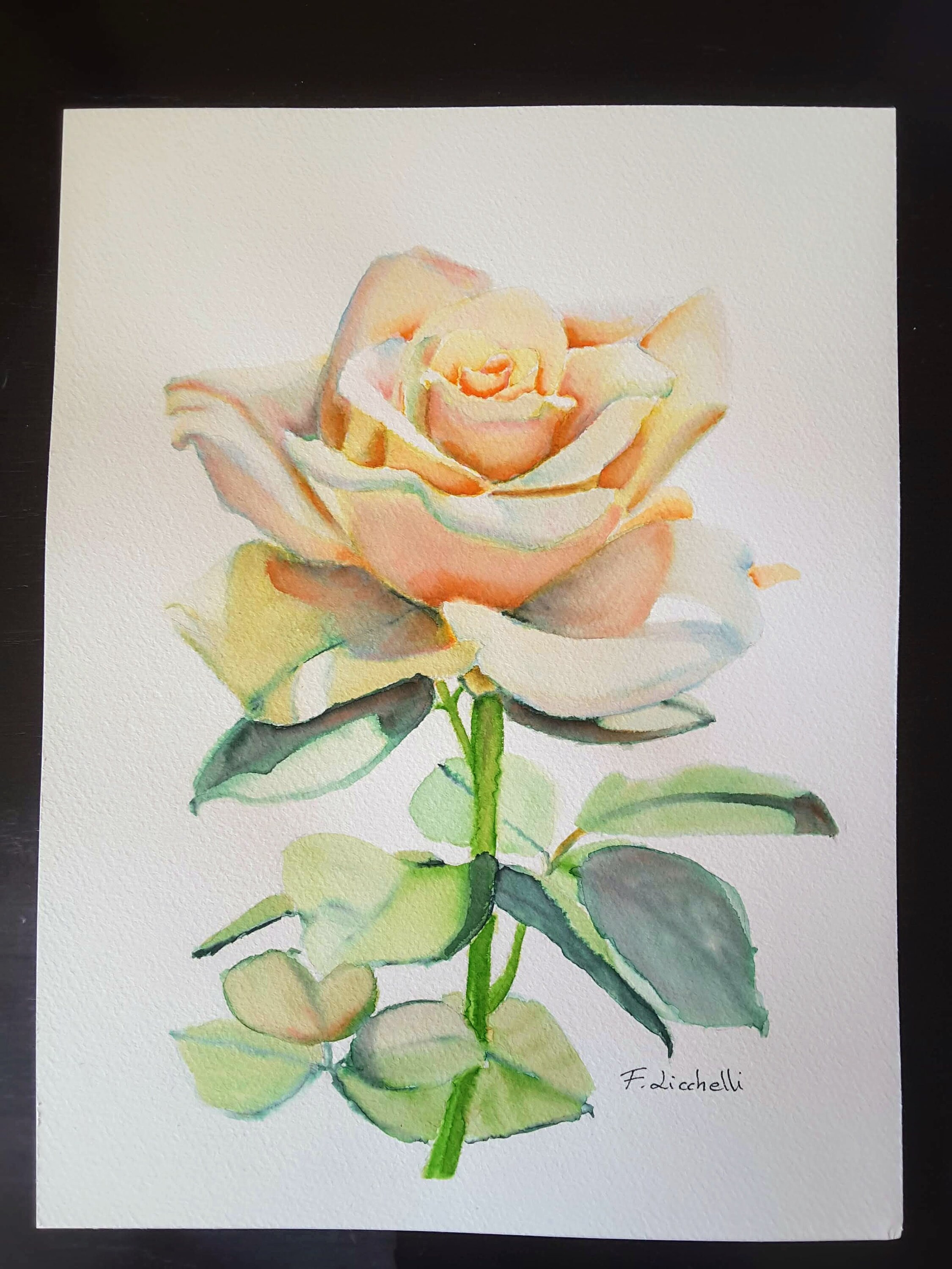 Peach Pink Rose Watercolor Original, Floral Watercolor Rose Pink, Rose ...