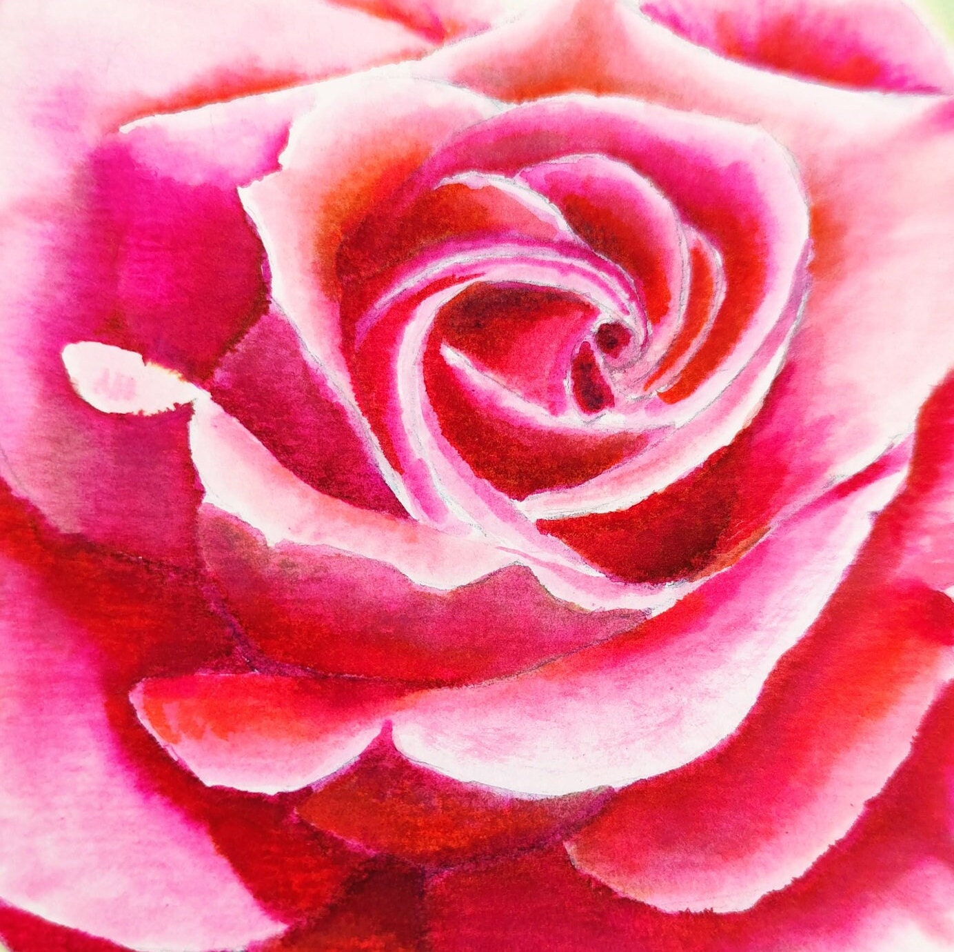 Single Rose Watercolor Original Painting Floral Watercolor Tiny ...