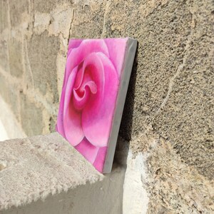 Rose Painting Oil on Canvas, Small Painting Pink Rose Square Canvas Oil ...