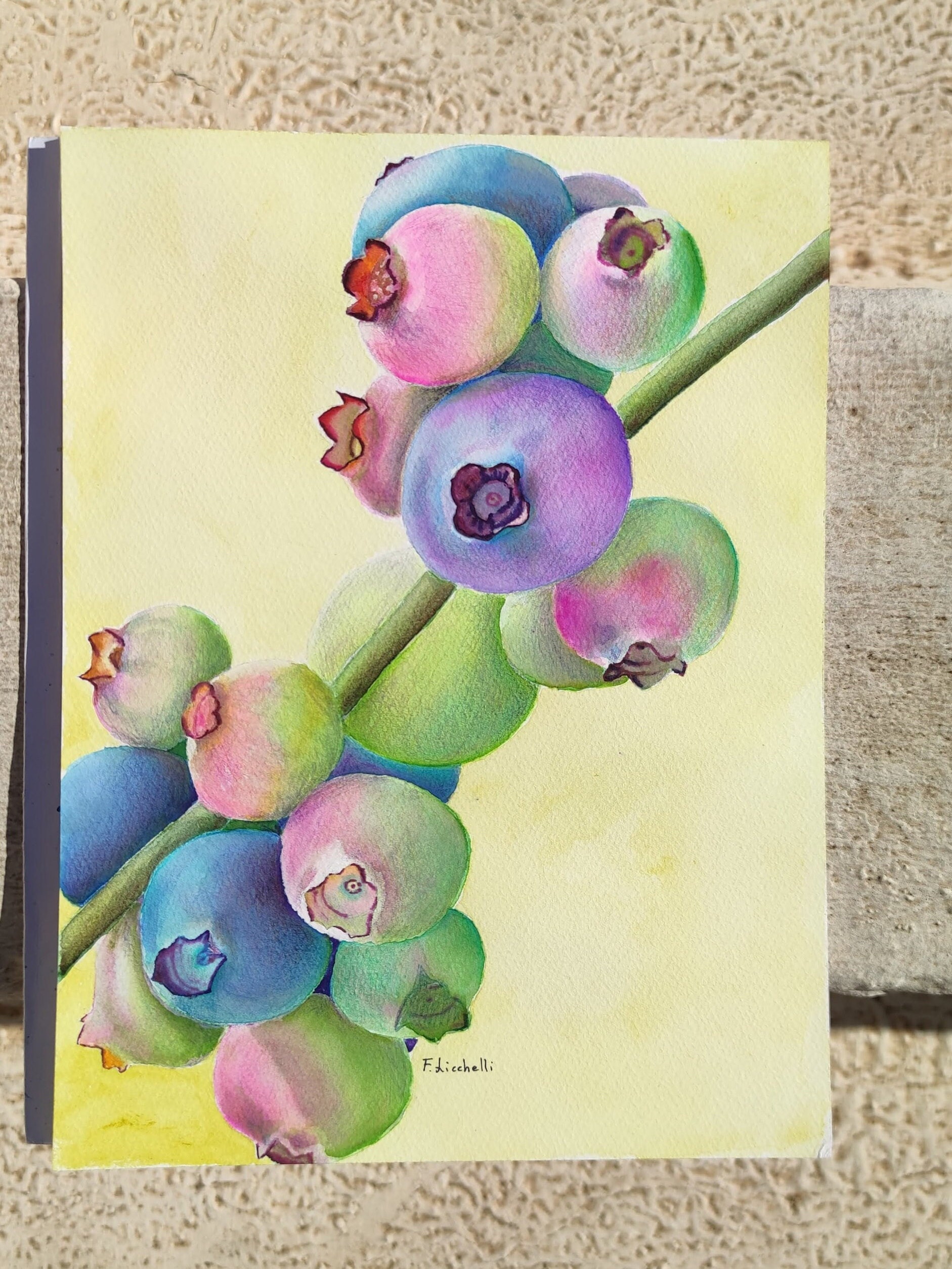 Blueberry Painting Blueberry Watercolor Original Painting Rainbow ...