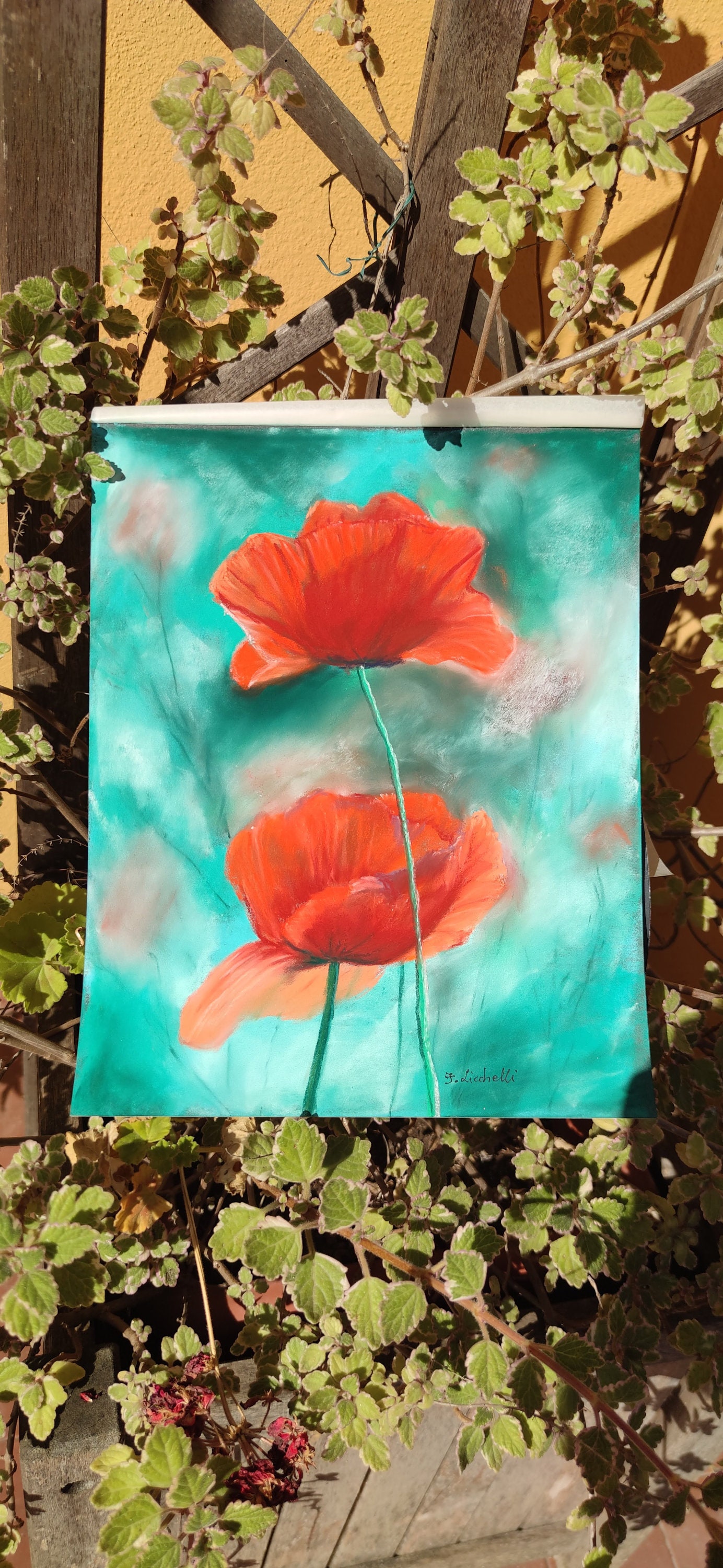 Poppy Painting Poppy Drawing Soft Pastel on Paper Original Floral ...