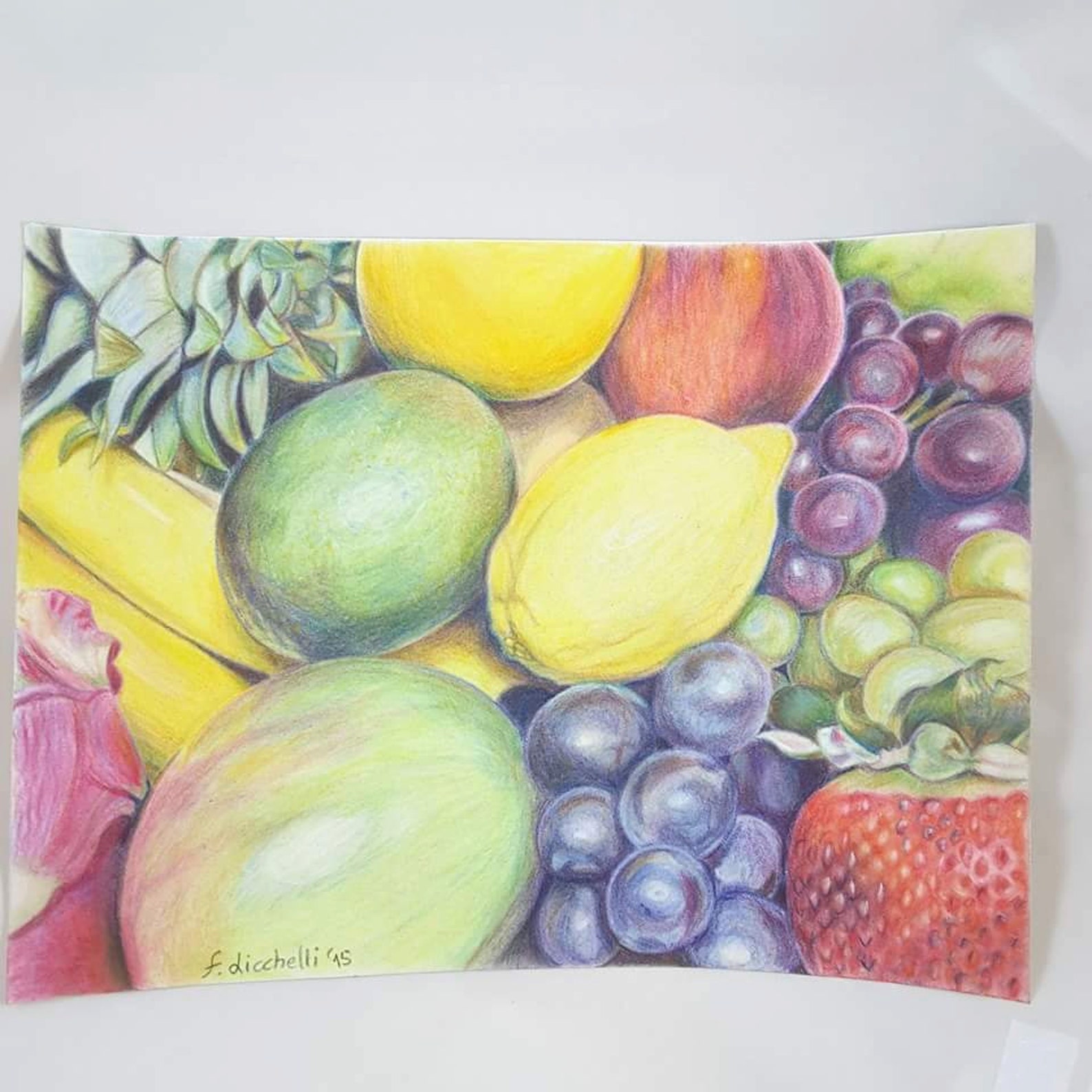 Fruits Pencils Drawing, Colored Pencils on Velvet Paper, Still Life ...