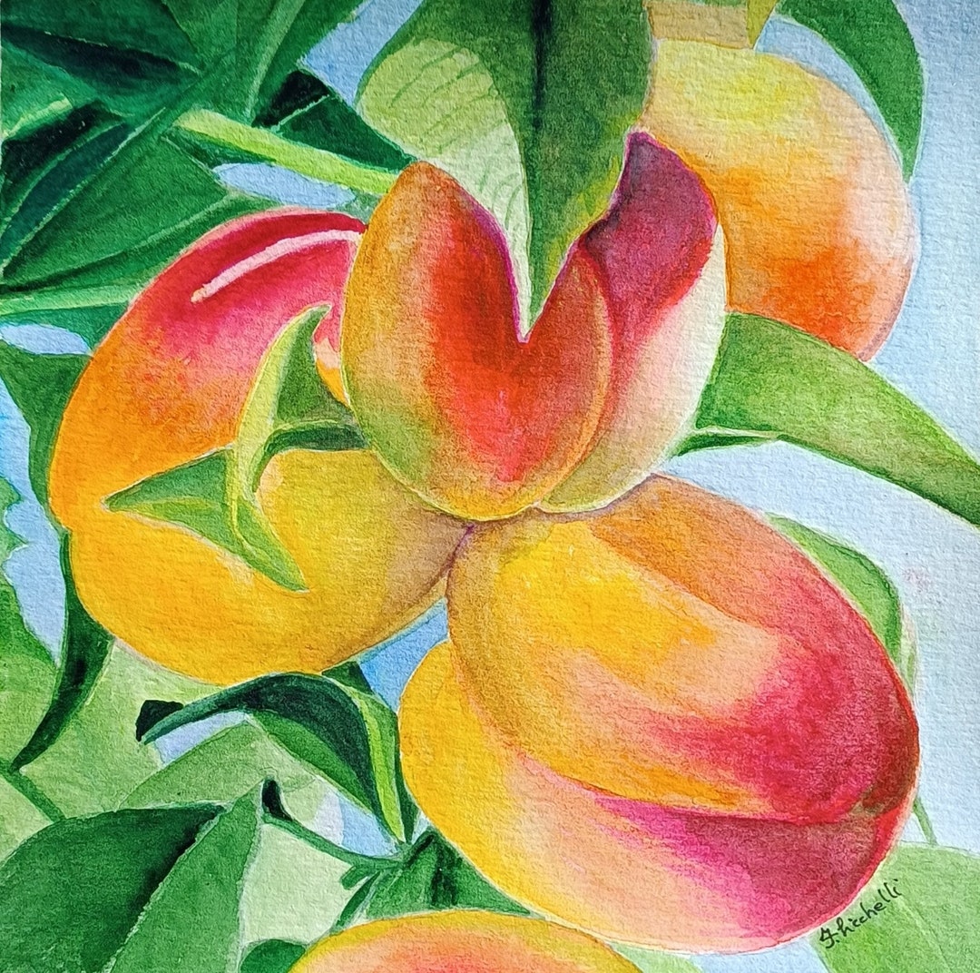 Peach Watercolor Peach Tree Painting Square Peach and Leaves Watercolor ...