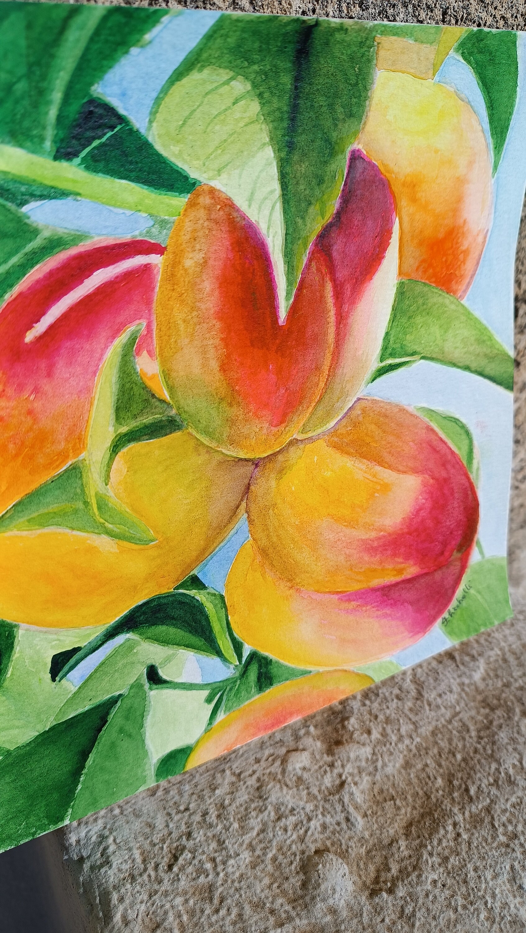 Peach Watercolor Peach Tree Painting Square Peach and Leaves Watercolor ...